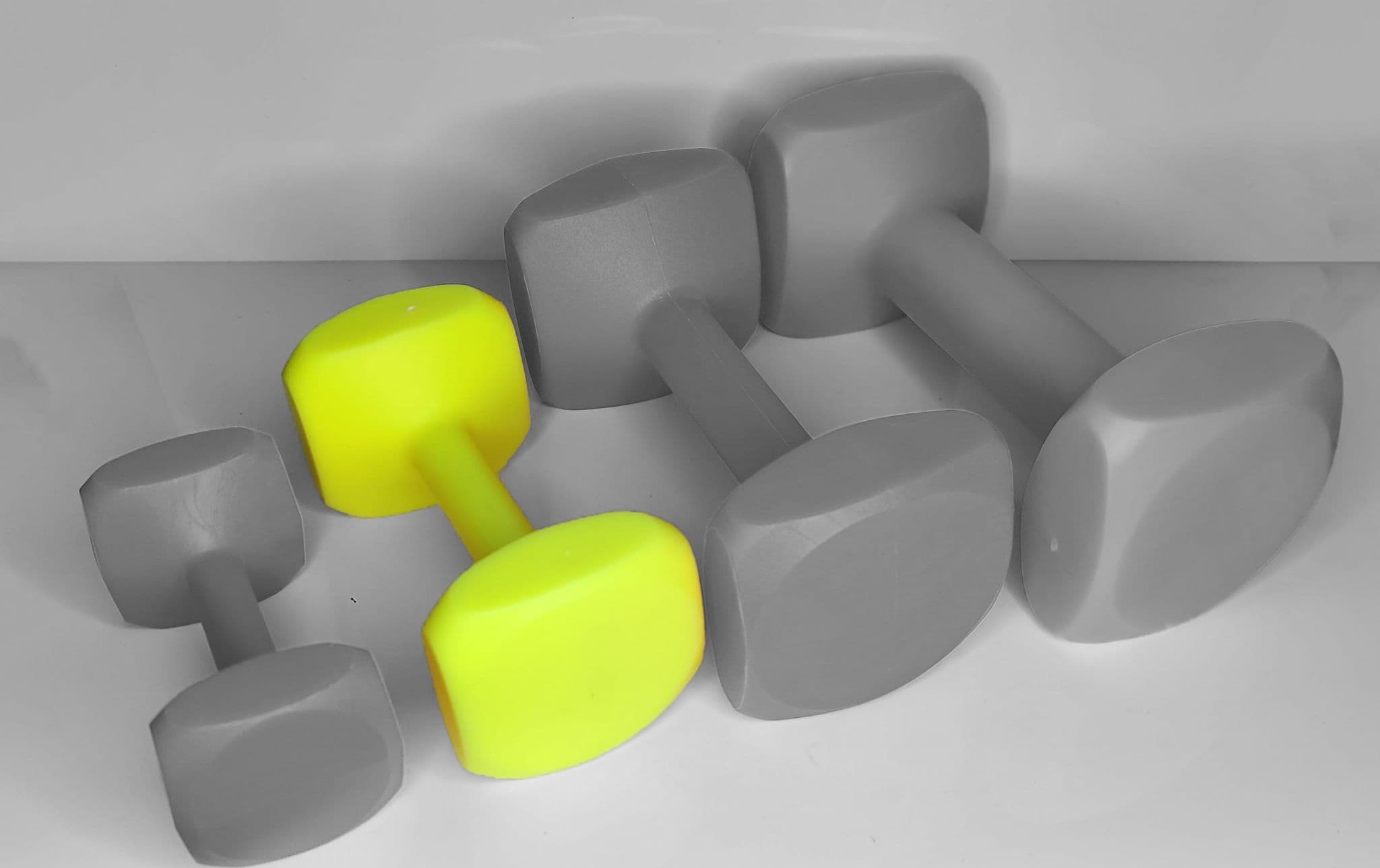 floating dumbbell small – Raw Feeding Lancs Ltd