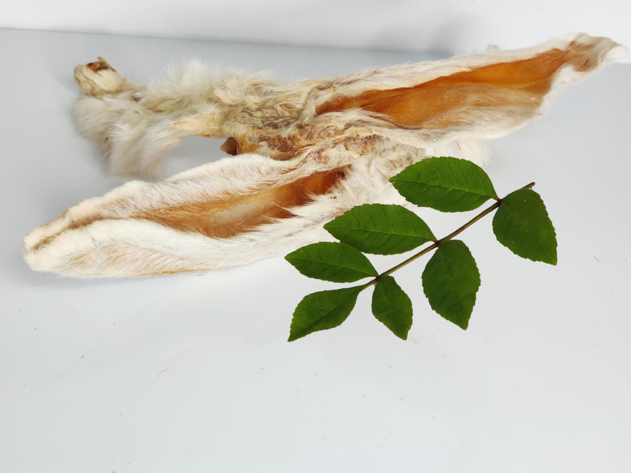 Hairy Rabbit Ears 100g – Raw Feeding Lancs Ltd