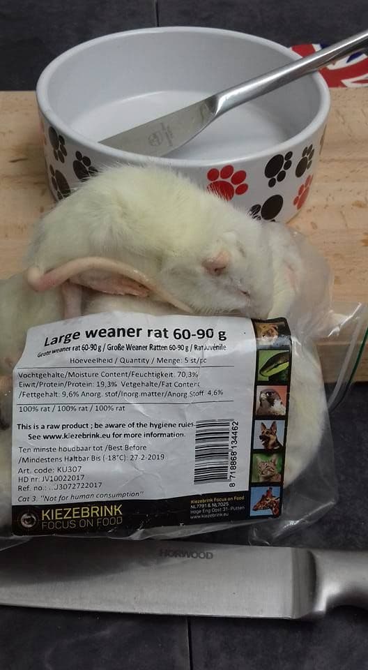 Kiezebrink Large Weaner Rats (5) – Raw Feeding Lancs Ltd