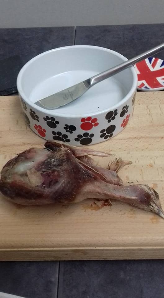 Kiezebrink Quail Carcasses 1kg – Raw Feeding Lancs Ltd