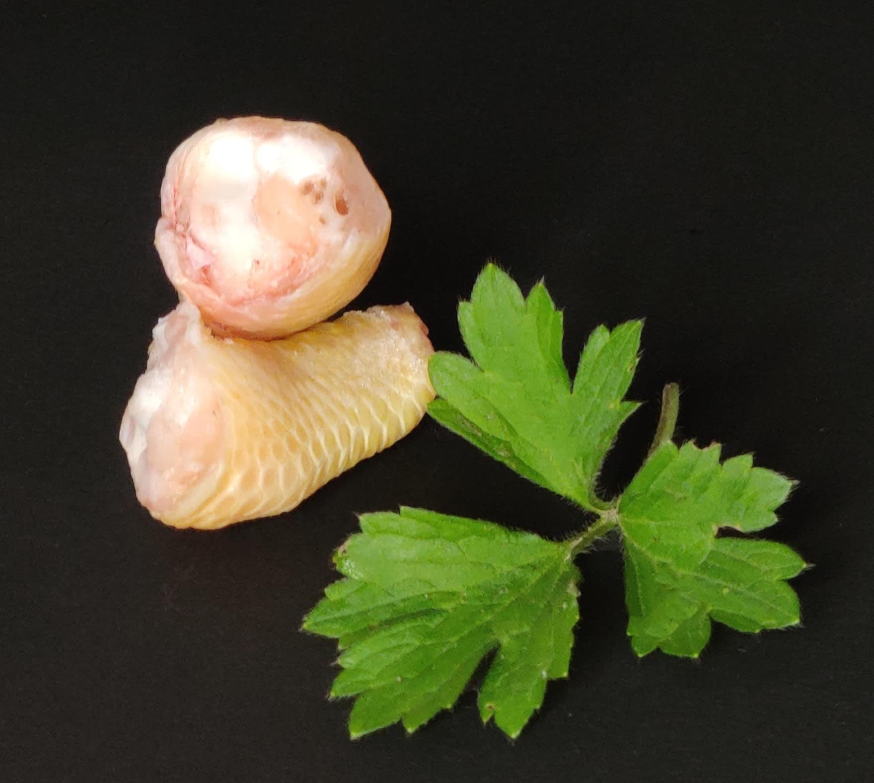 RFL – Chicken Hocks – 1 Bag – Raw Feeding Lancs Ltd